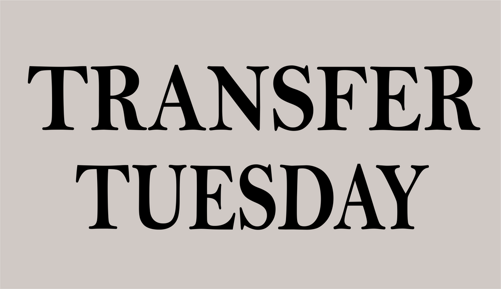 Do It Yourself Transfers HTV Transfers, Screen Print Transfers, Digi+ ...